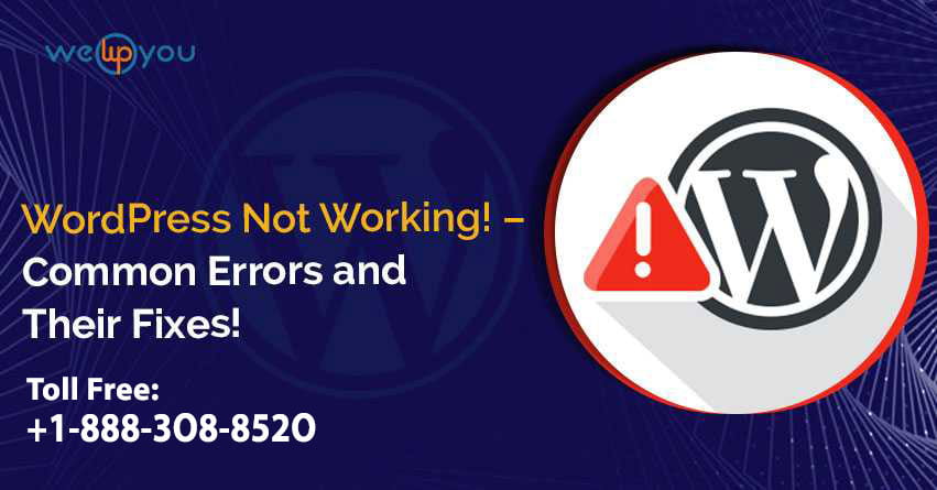 WordPress Not Working | Common Errors and Their Fixes - wewpyou