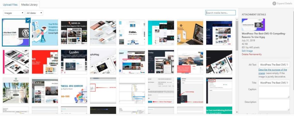 WordPress The Best CMS:Compelling Reasons to Use It- wewpyou