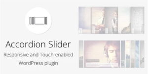 Top 10 WordPress Accordion Plugins (2021) - wewpyou